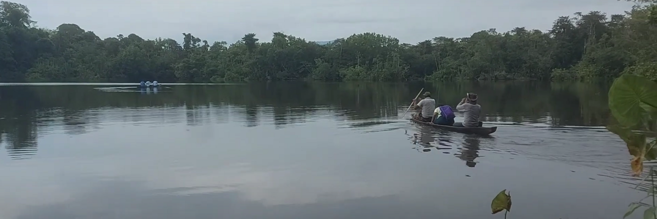 Community Video: Monitoring Paiche Fish Repopulation in Puerto Juan ...
